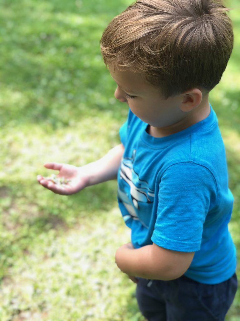 Nature Navigators – Explore It!